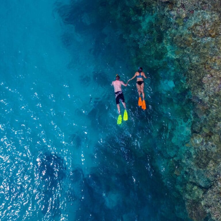 1770 Reef Eco Tours - Lady Musgrave Island & The Great Barrier Reef