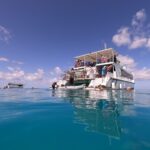 1770 Reef Eco Tours - Lady Musgrave Island & The Great Barrier Reef