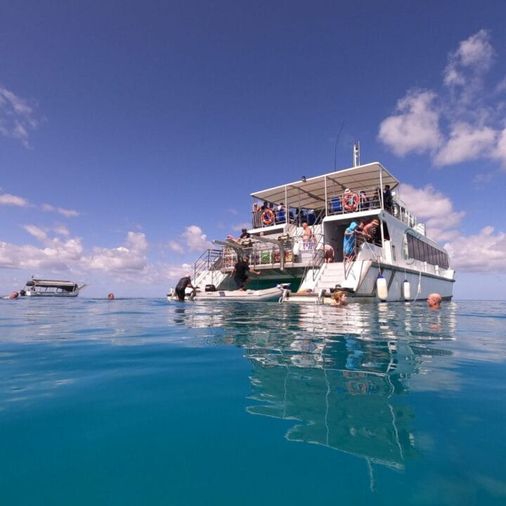 1770 Reef Eco Tours - Lady Musgrave Island & The Great Barrier Reef
