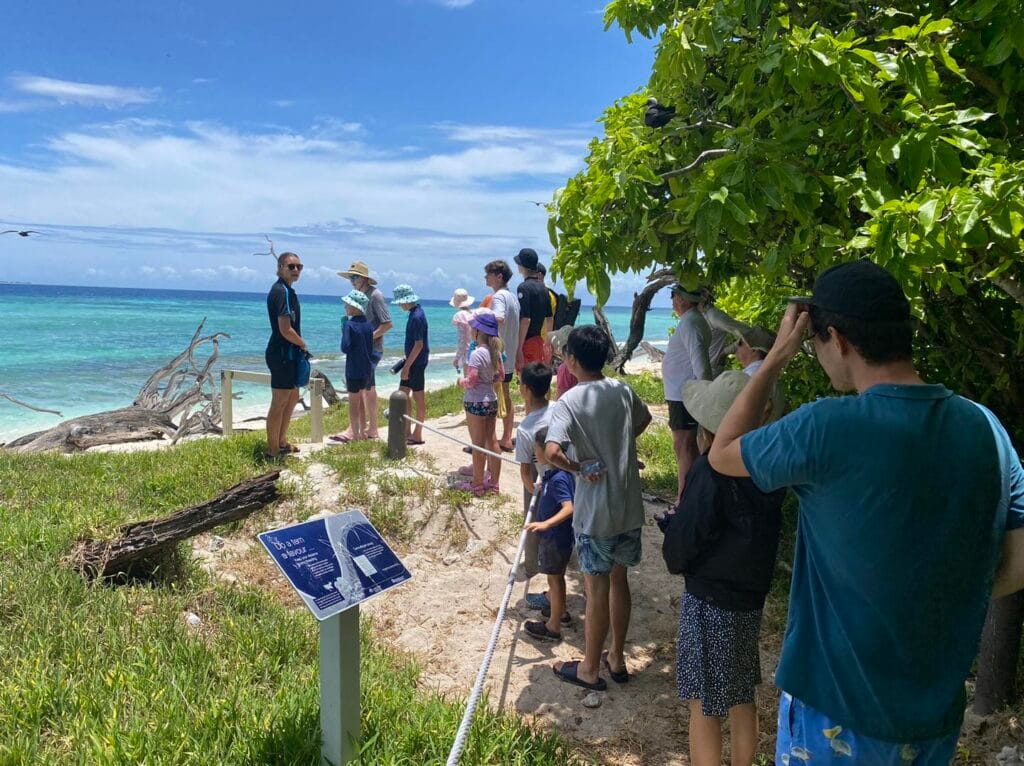 1770 Reef Eco Tours - Lady Musgrave Island & The Great Barrier Reef