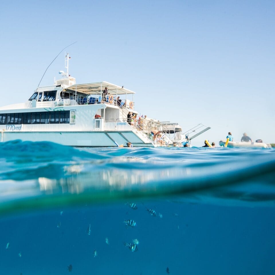 Lady Musgrave Island Tour | 1770 Reef Eco Tours