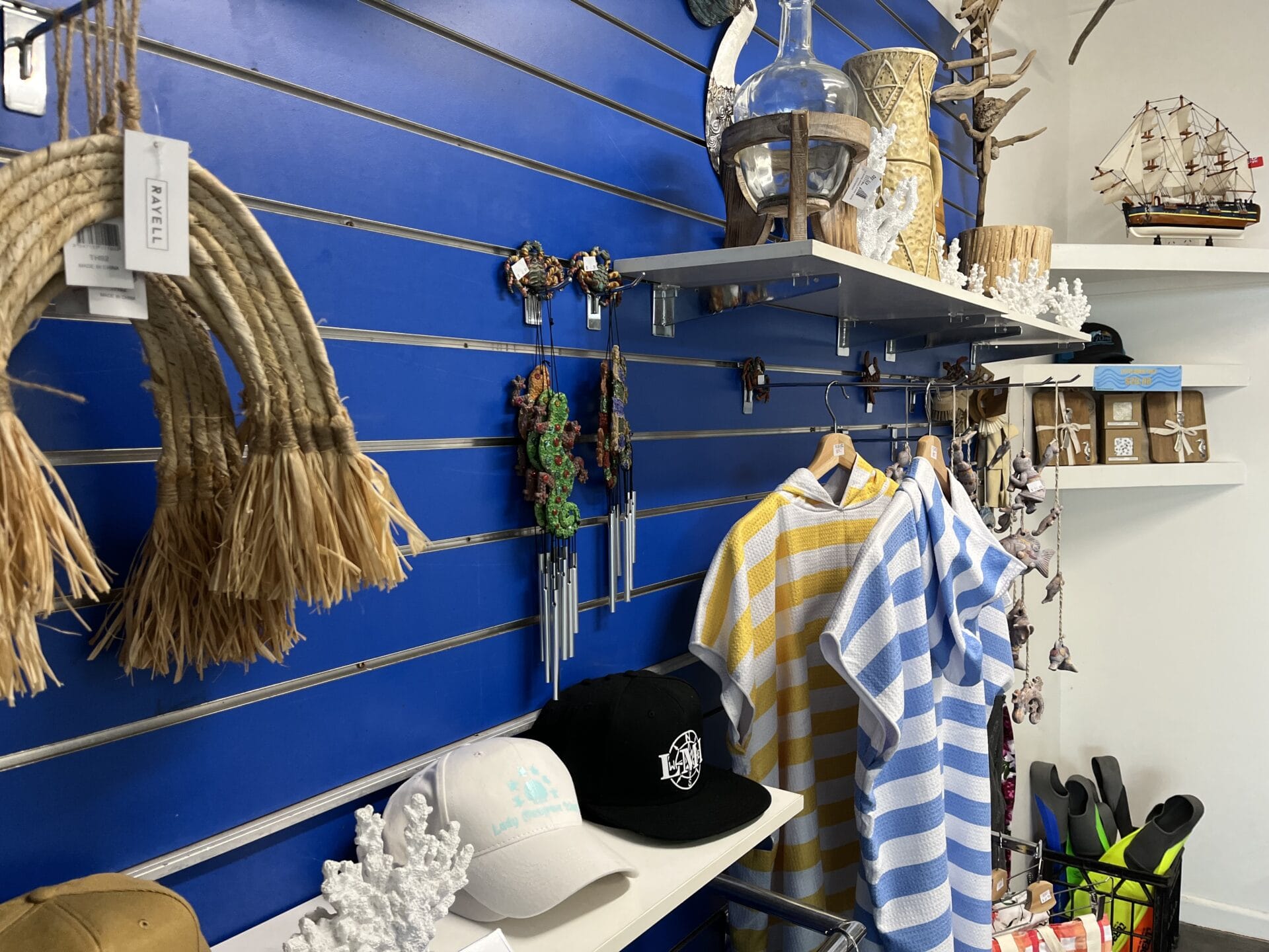 About | 1770 Reef Eco Tours