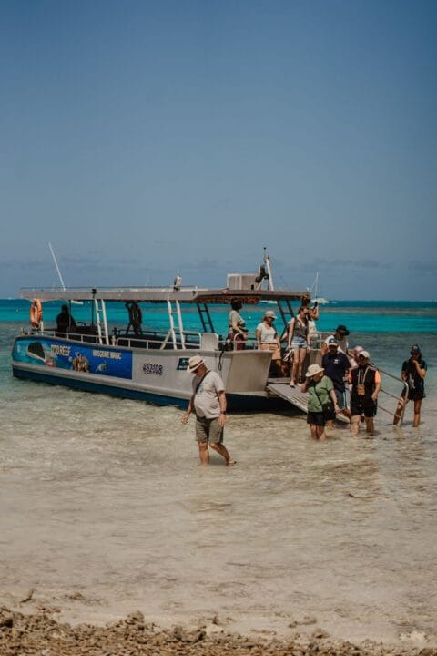 Glass Bottom Boat Tour | 1770 Reef Eco Tours
