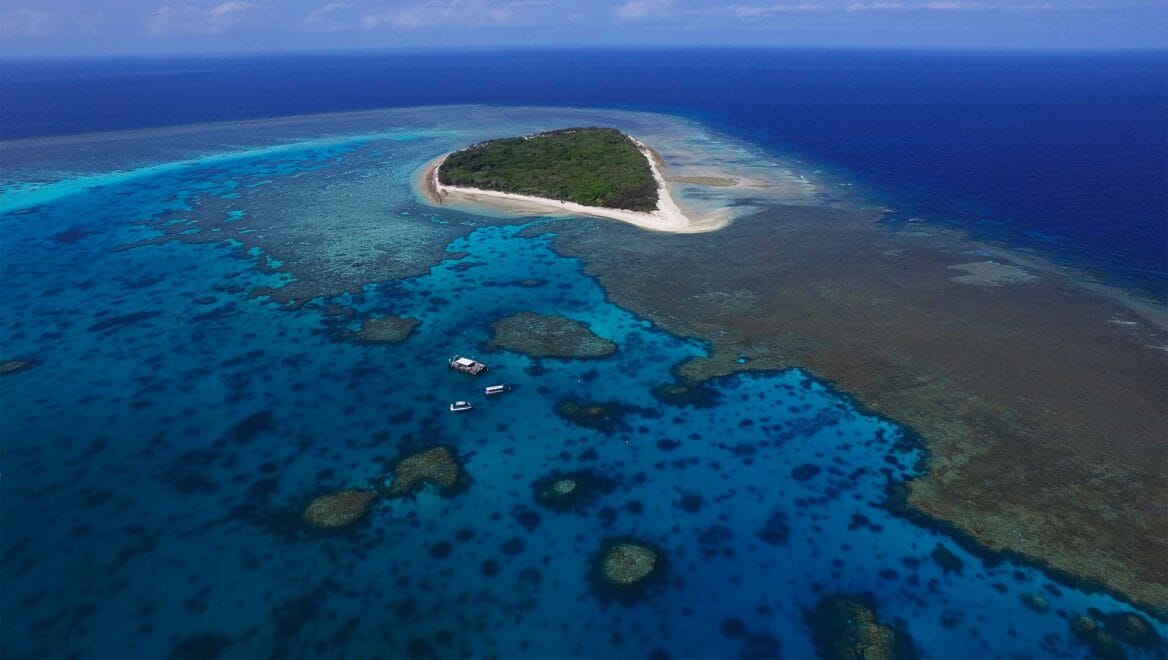 Contact | 1770 Reef Eco Tours