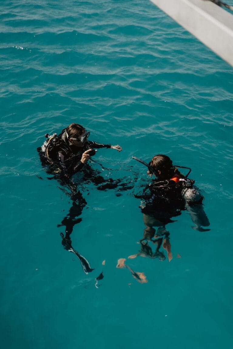 1770 Reef Eco Tours - Lady Musgrave Island & The Great Barrier Reef