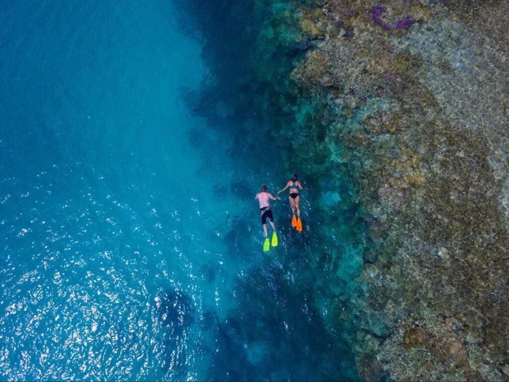 Reef Snorkelling | 1770 Reef Eco Tours