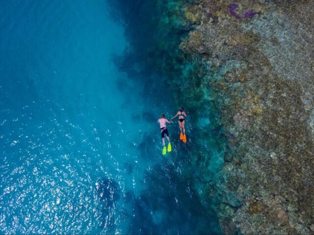 The Great Barrier Reef Snorkelling Tour | 1770 Reef Eco Tours