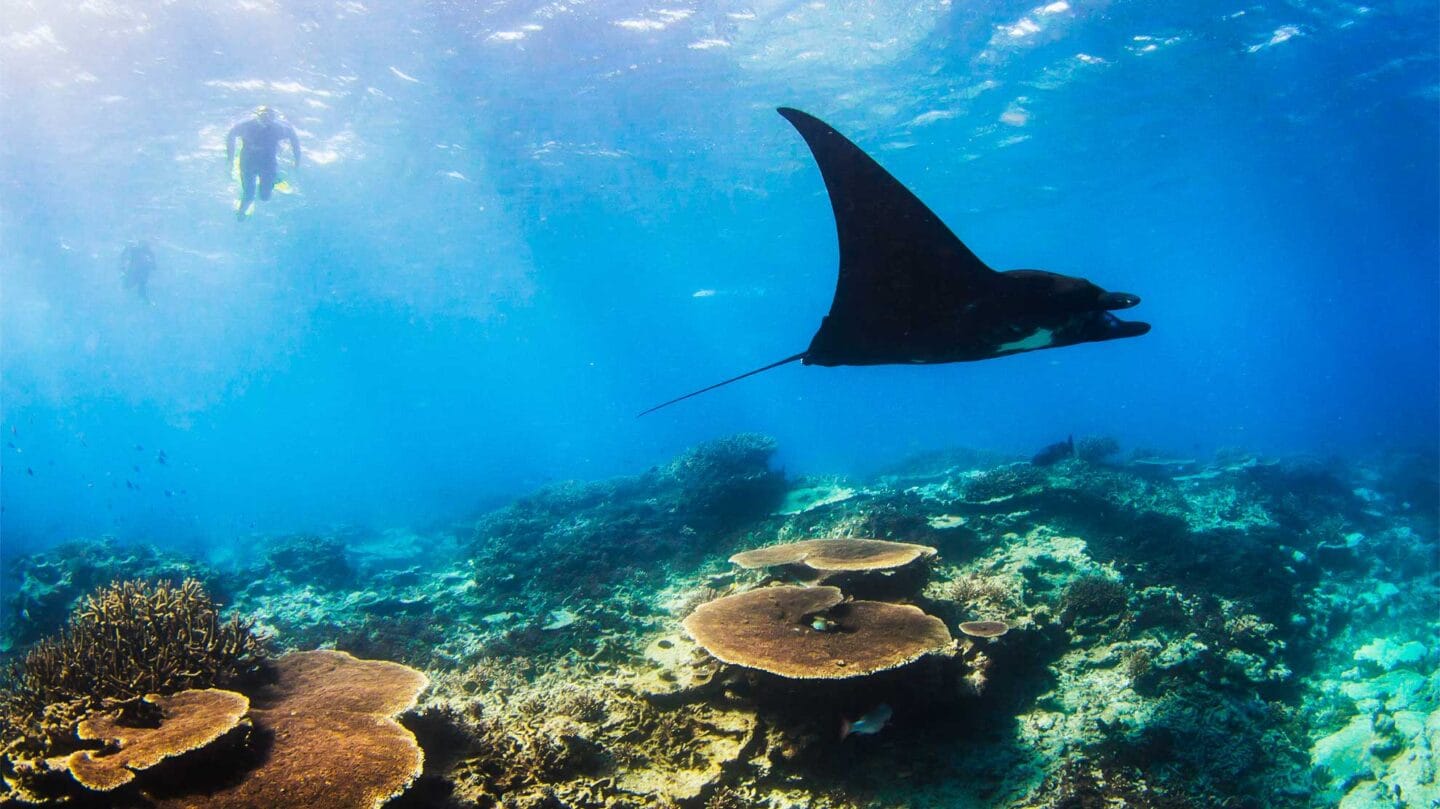 Tours | 1770 Reef Eco Tours