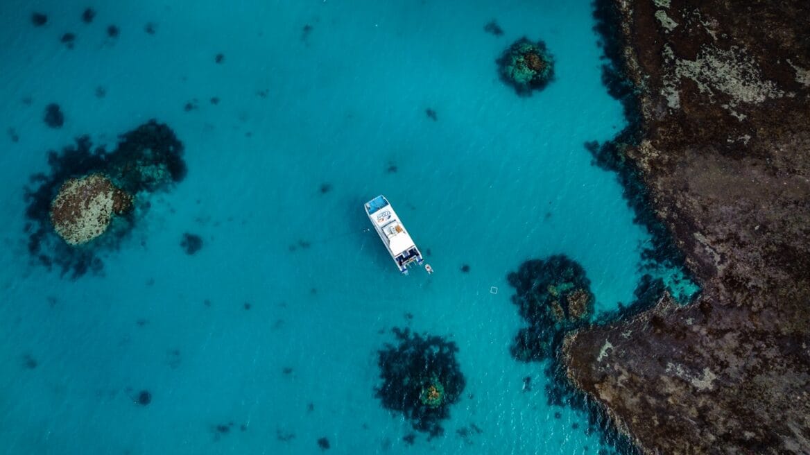 About | 1770 Reef Eco Tours