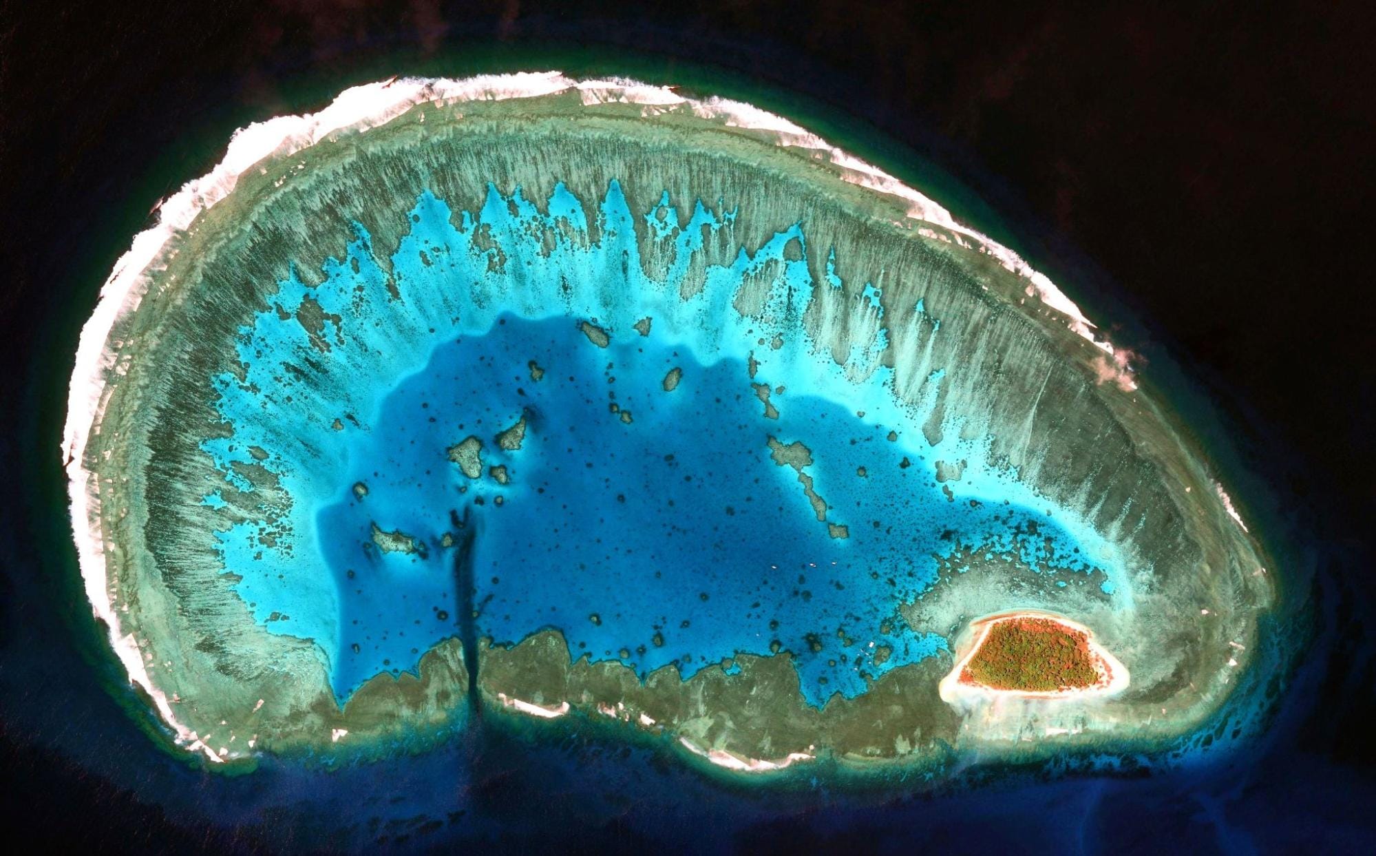 Isla Lady Musgrave Hiding At Lady Musgrave | Sv Anui