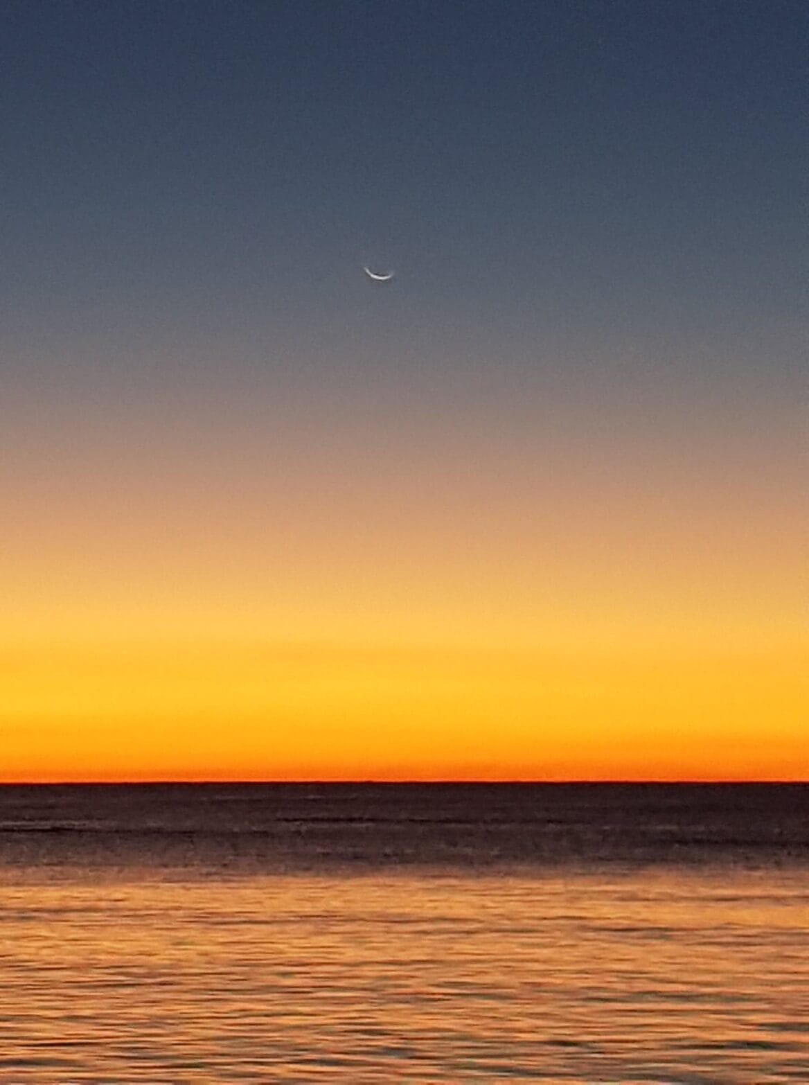 About | 1770 Reef Eco Tours