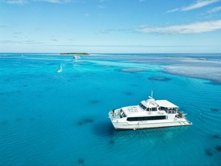 1770 Reef Eco Tours - Lady Musgrave Island & The Great Barrier Reef